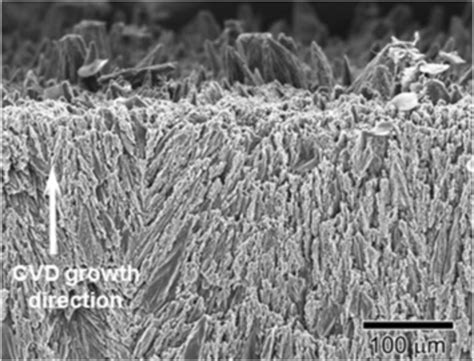 Sem Micrograph For The Side Surface Of Cvd Sic After Corrosion Test At Download Scientific
