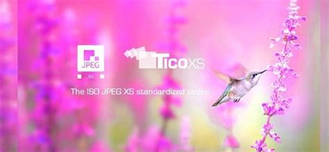Grass Valley Adopts Intopix Fastticoxs To Add Jpeg Xs Support To Ampp