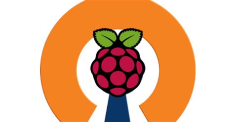 Raspberry Pi Openvpn