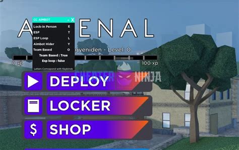 Arsenal Aimbot Script DollShot Hack Cheater Ninja