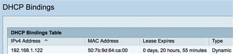 View The Dynamic Host Configuration Protocol Dhcp Bindings On An Rv34x Series Router Cisco