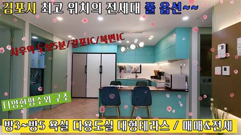 김포신축빌라040 김포 사우동 풀옵션 빌라 다양한 평수와 구조 사우역 이용가능 Youtube
