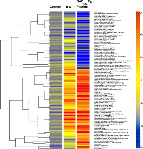 Hierarchical Clustering Analysis Of Significantly Altered Genes Gene Download Scientific