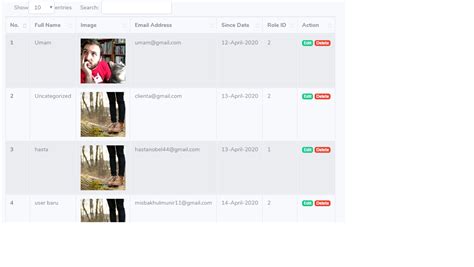How To Fix Search And Pagination Datatable Views — Datatables Forums