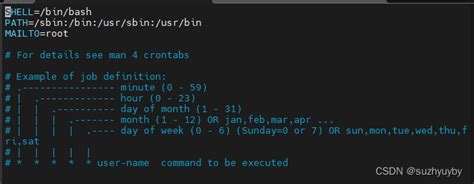 Systemd定时任务systemd 定时任务 Csdn博客
