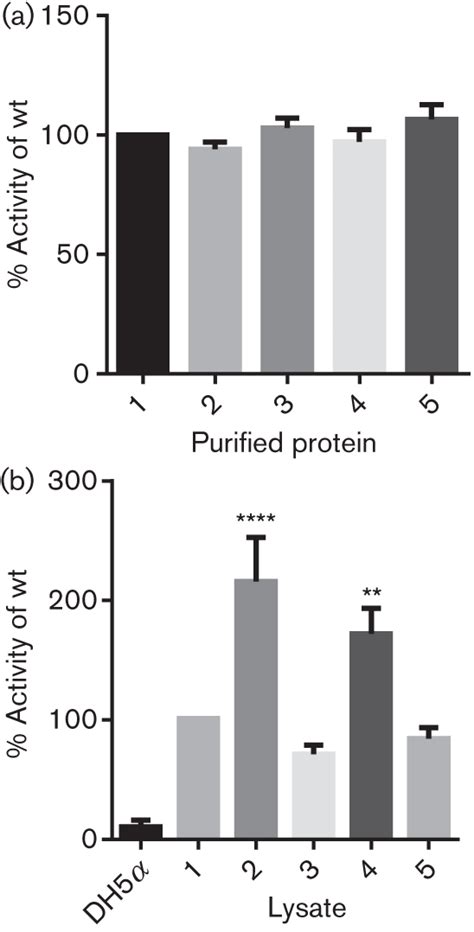 Fig Microbiology Society
