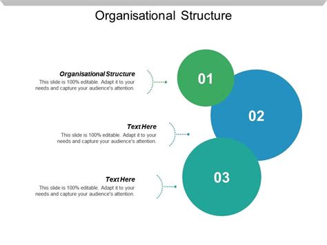 Organisational Structure Ppt Powerpoint Presentation Icon Deck Cpb Presentation PowerPoint