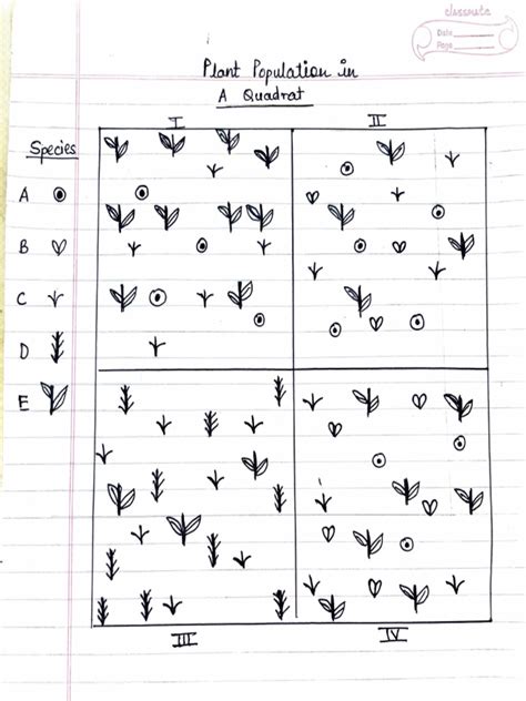 Minor Expt Plant Population Quadrat Method Pdf