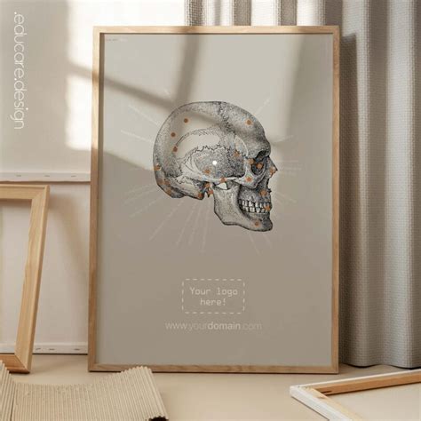 Vintage Lateral Cranial Bones Educaredesign