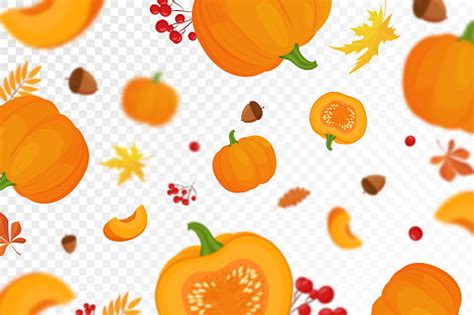 추수 감사절 또는 추수 감사절에 대한 흐림 효과가 흐림 효과가 있는 주황색 가을 호박의 배경 투명한 배경에 다른 크기의 호박