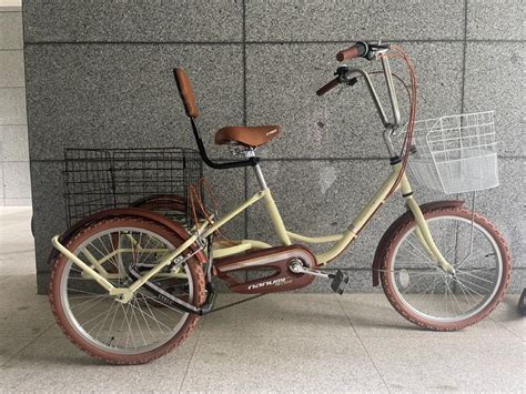 세발자전거 성인용 Zyden 삼 당근 중고거래