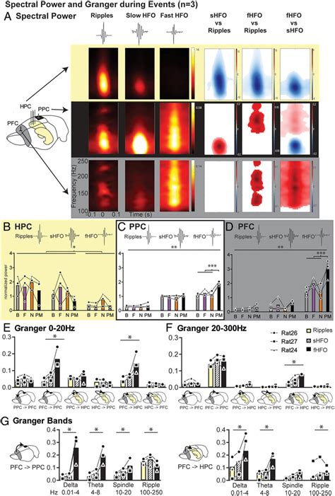 Spectral Power And Granger During Events A Spectrogram For All Three Download Scientific