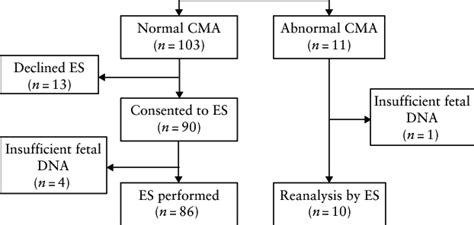 flowchart summarizing genetic testing workflow in cases that underwent