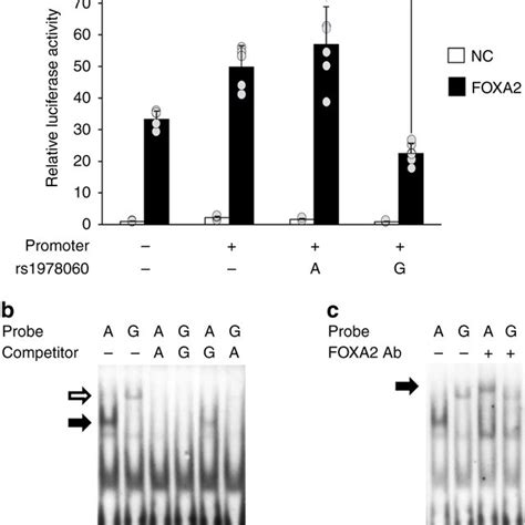 Allelic Difference Of Functional Variant Rs1978060 In Chr22q1121 A Download Scientific