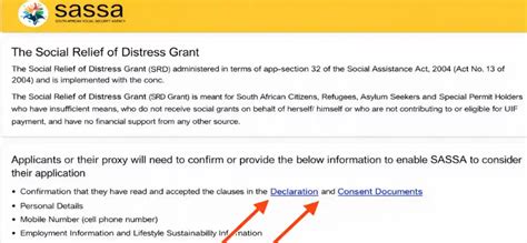 How To Apply For Sassa Srd Application 2026