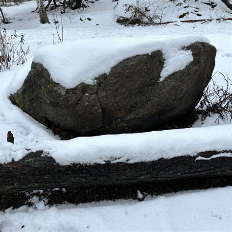 Forest Rock Detection Object Detection Dataset And Pre Trained Model By