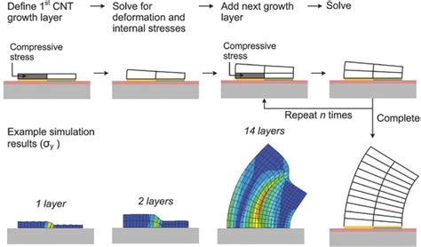 Finite Element Simulation Scheme For Strain Engineered Cnt