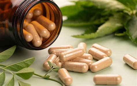 Persimmon Leaf Extract