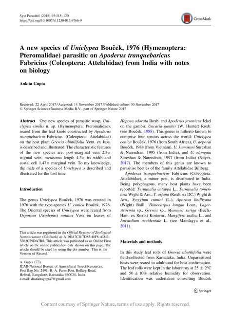 A New Species Of Uniclypea Bouček 1976 Hymenoptera Pteromalidae Parasitic On Apoderus