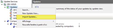 Wsus Importer Une Mise à Jour Du Catalogue Microsoft