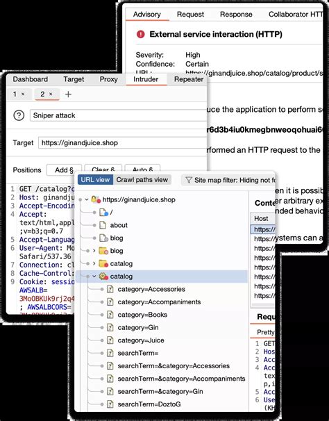 Burp Suite Professional Portswigger