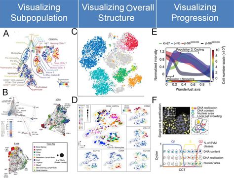 single cell proteomics in biomedicine high dimensional data