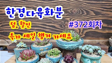 2024년 1월 19일372회차영상 한경다육화분 수제공방분 공방분 다육화분 화분 이가도예공방분 Youtube
