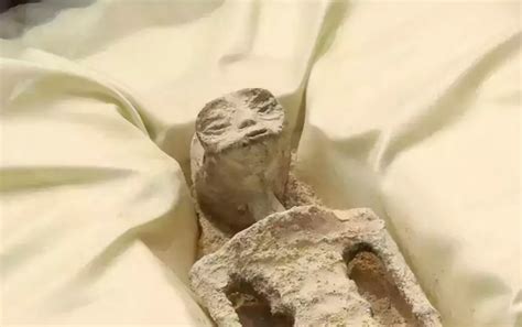 Create Meme Mummified Body The Mummy Is Real The Peruvian Mummy Pictures Meme