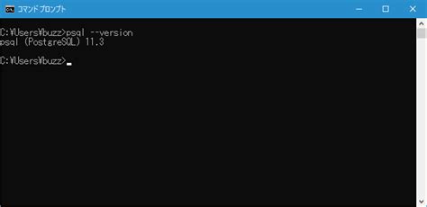postgresql pathを設定する