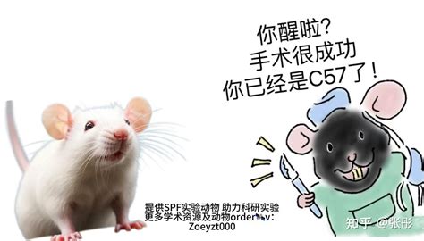 Cre小鼠和flox小鼠区别以及cre Loxp系统 知乎