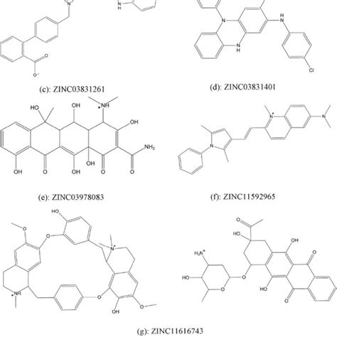 Comparison Of The Orientation Of Selected Ligands In The Intended