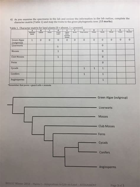 Solved Please Help Me Fill Out The Following Chart Along