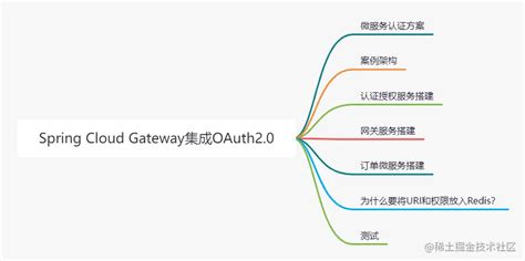 纯干货！spring cloud gateway整合oauth2 0 实现分布式统一认证授权 阿里云开发者社区
