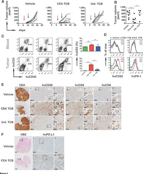 Figure 5 From A Novel Carcinoembryonic Antigen T Cell Bispecific