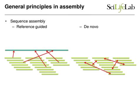 Ppt De Novo Assembler Principles Powerpoint Presentation Free Download Id8923941