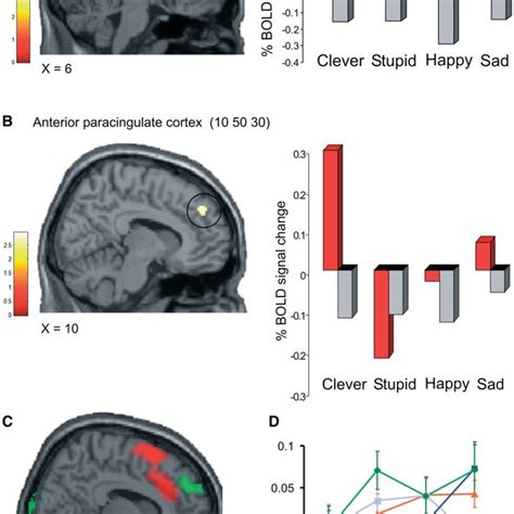 A The Activation In The Mid Anterior Cingulate Cortex Represents