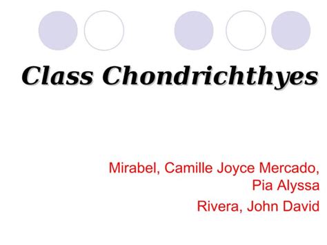 Phylum Chordata Sub Phylum Vertebrata Class Chondrichthyes By Al
