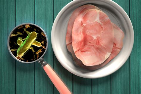 Hygiena Launches All In One Listeria L Monocytogenes Detection Method Food And Drink Technology