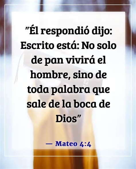 41 Versículo De La Biblia Alimento Para El Alma