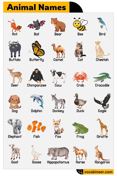 Animal Names A Z List Of Animals With Their Pictures
