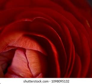 11 986 Erotic Texture Images Stock Photos Vectors Shutterstock