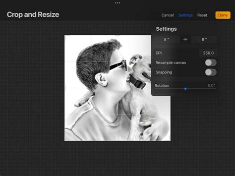 How To Change The DPI Of Your Procreate Art Adventures With Art