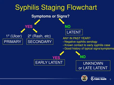 Ppt Syphilis Update Lessons Learned From An Outbreak Associated With