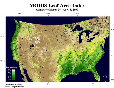 Modis Measures Total Us Leaf Area