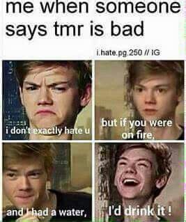 His Glue Newt X Reader I M Here Maze Runner Funny Newt Maze Runner Funny Quotes