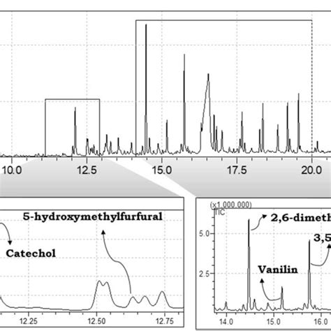 Chromatogram For Water Soluble Fraction Gc Ms Analysis After Drying In Download Scientific