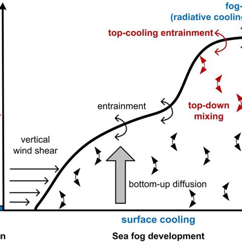 Schematic Diagram Of Sea Fog Development Indicating The Sources And
