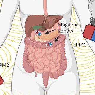 Overview Of Our Proposed Control Scenario We Aim To Independently Download Scientific Diagram