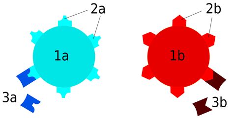 111 Bacterial Genotyping And Drug Resistance Prediction