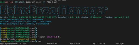 部署nginx proxy manager （可视化nginx反向代理） 学不会xuebuhui 博客园